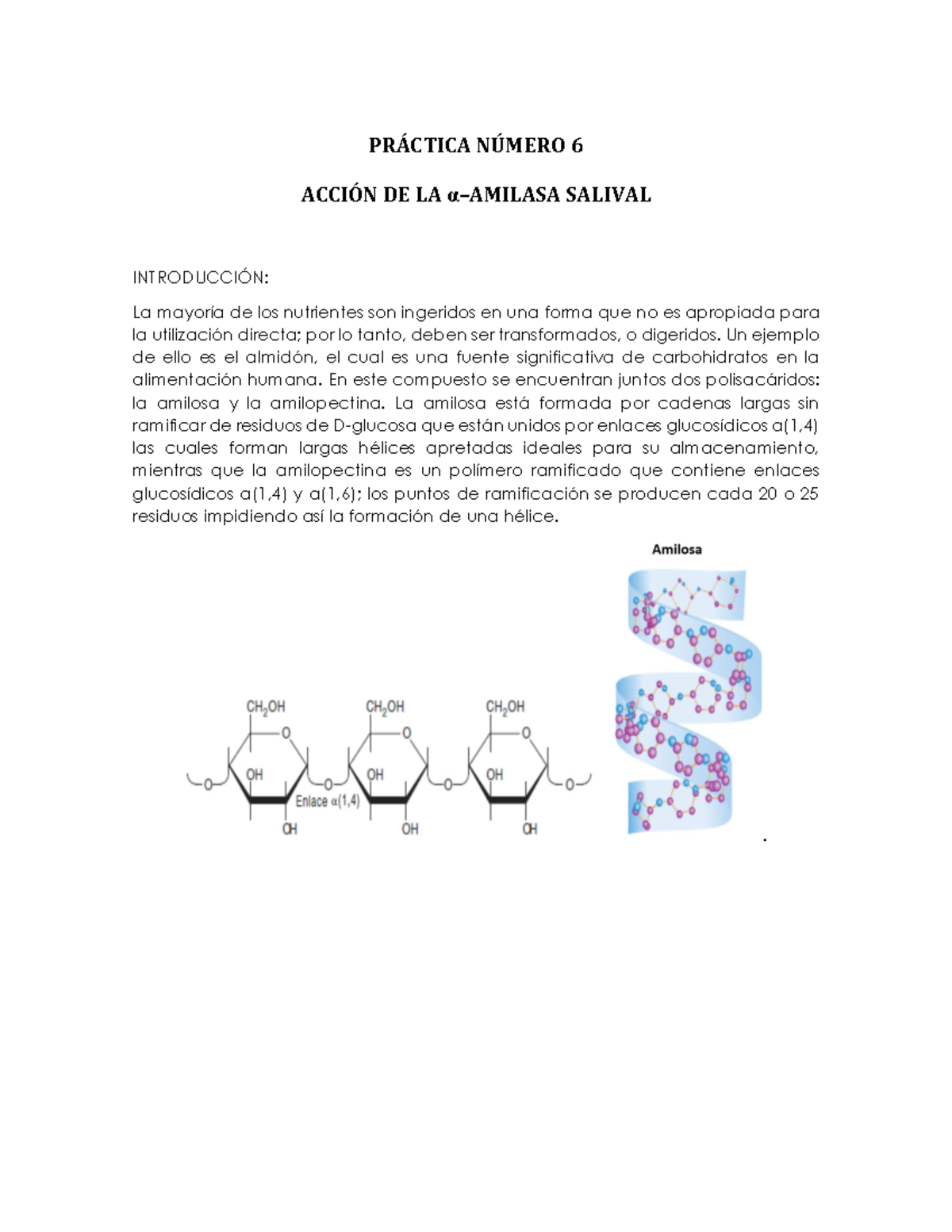 Practica 6 Amilasa salival - PRÁCTICA NÚMERO 6 ACCIÓN DE LA α−AMILASA ...