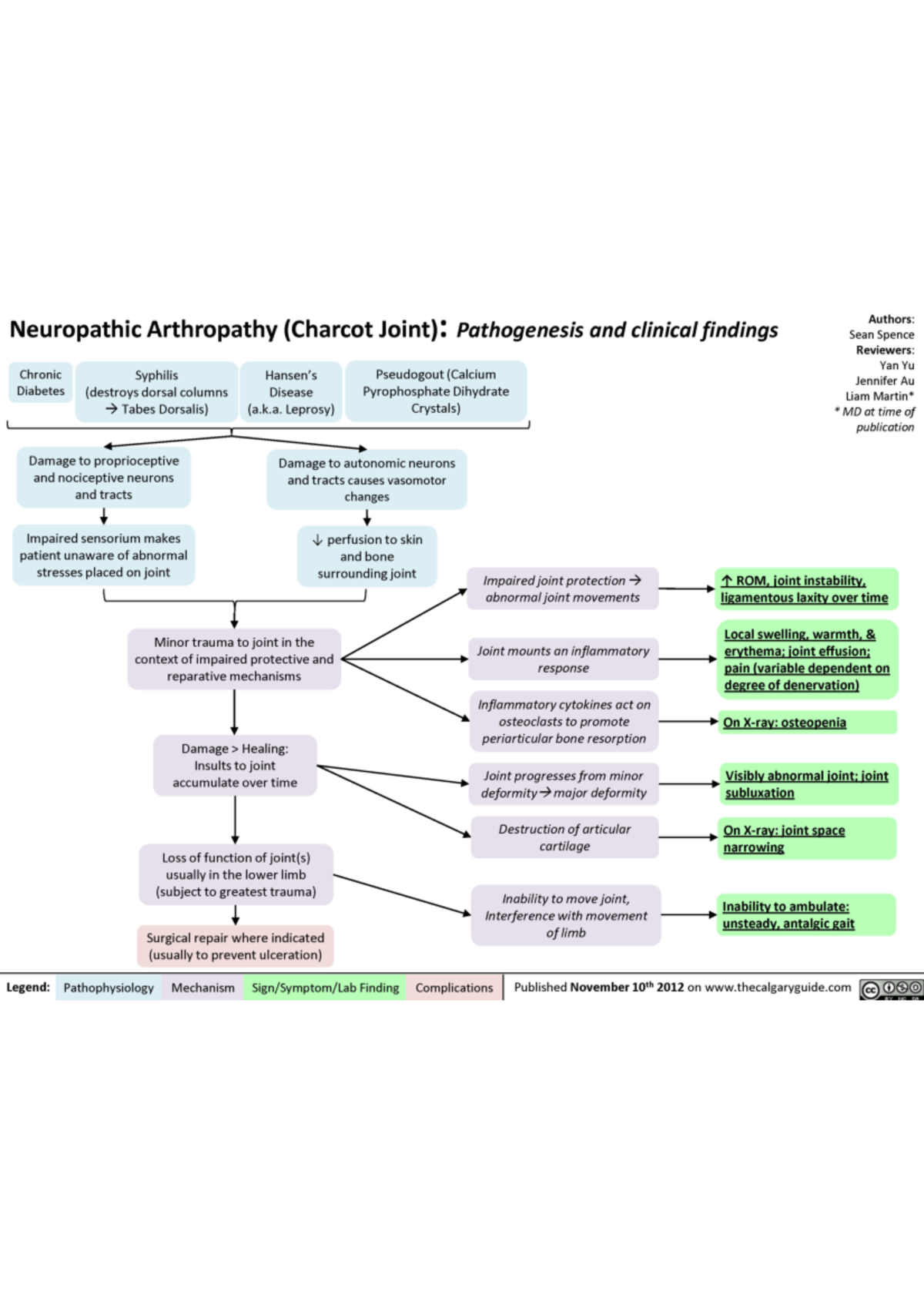 Charcot Joint Pathogenesis and Clinical findings - HLT54115 - Studocu
