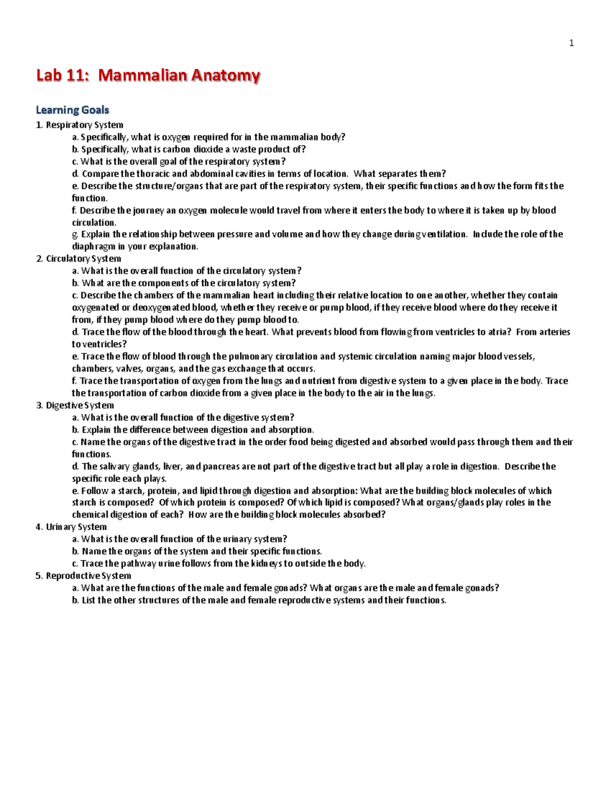Lab 11 Mammalian Anatomy Lab Reading Spring 2019 - Lab 11: Mammalian ...