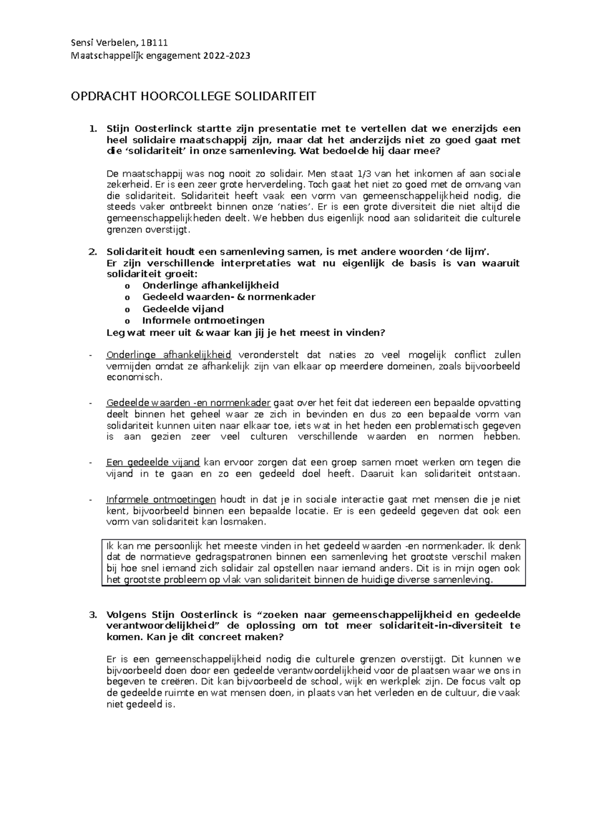 Opdracht Solidariteit - Sensi Verbelen, 1B Maatschappelijk engagement ...