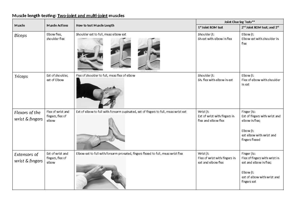 Prac Via prep notes - Muscle length testing: Two-joint and multi-joint ...