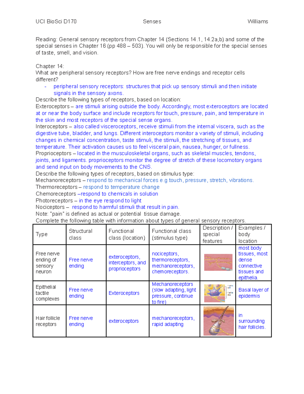 Copy of Reading 15 Senses - Reading: General sensory receptors from ...