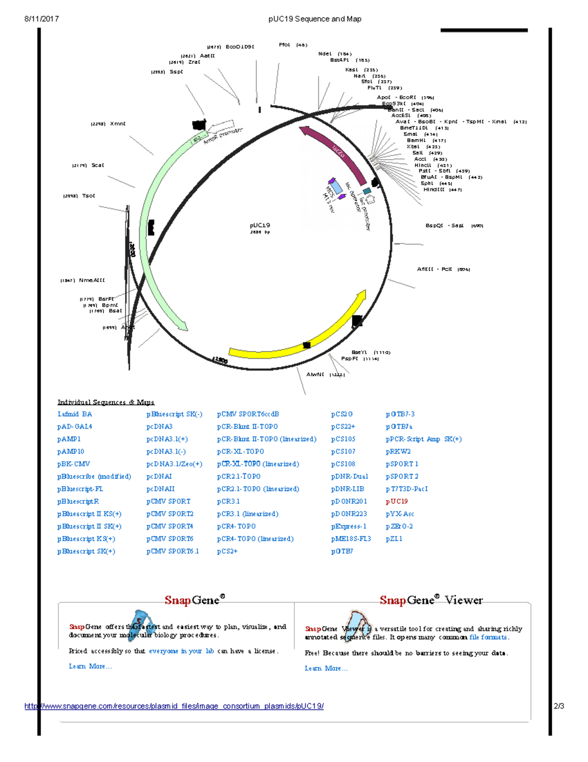 P UC19 Sequencia y mapa - Apuntes 16 - 8/11/2017 pUC19 Sequence and Map ...