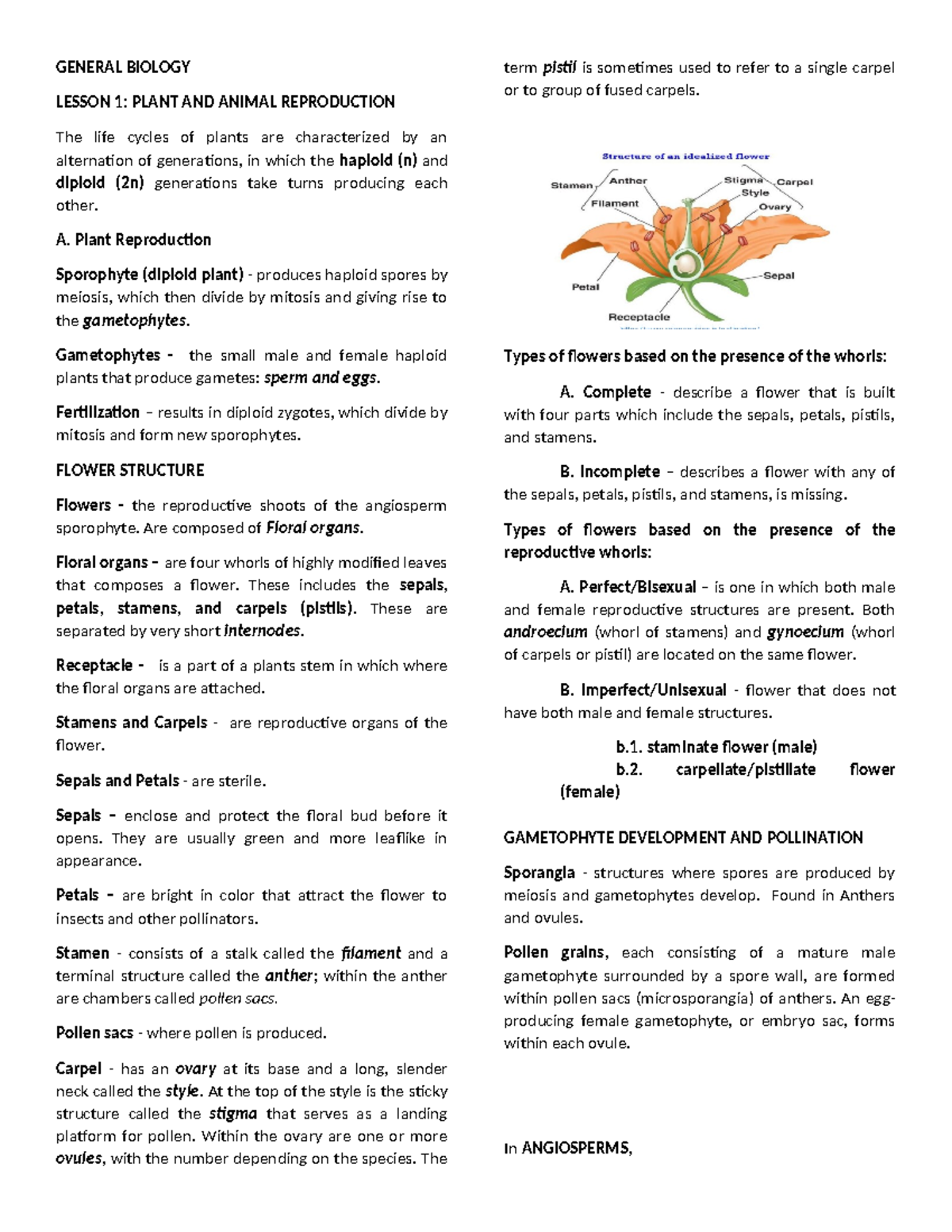 General Biology review - GENERAL BIOLOGY LESSON 1: PLANT AND ANIMAL ...