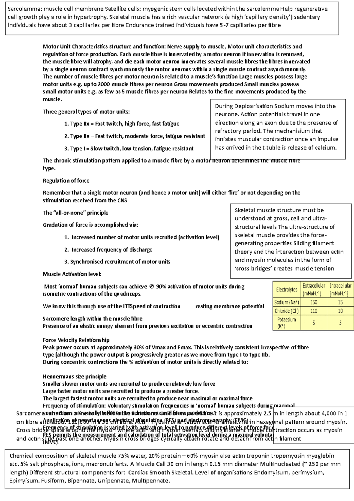 Biomechanics 2 Revision notes - Motor Unit Characteristics structure ...