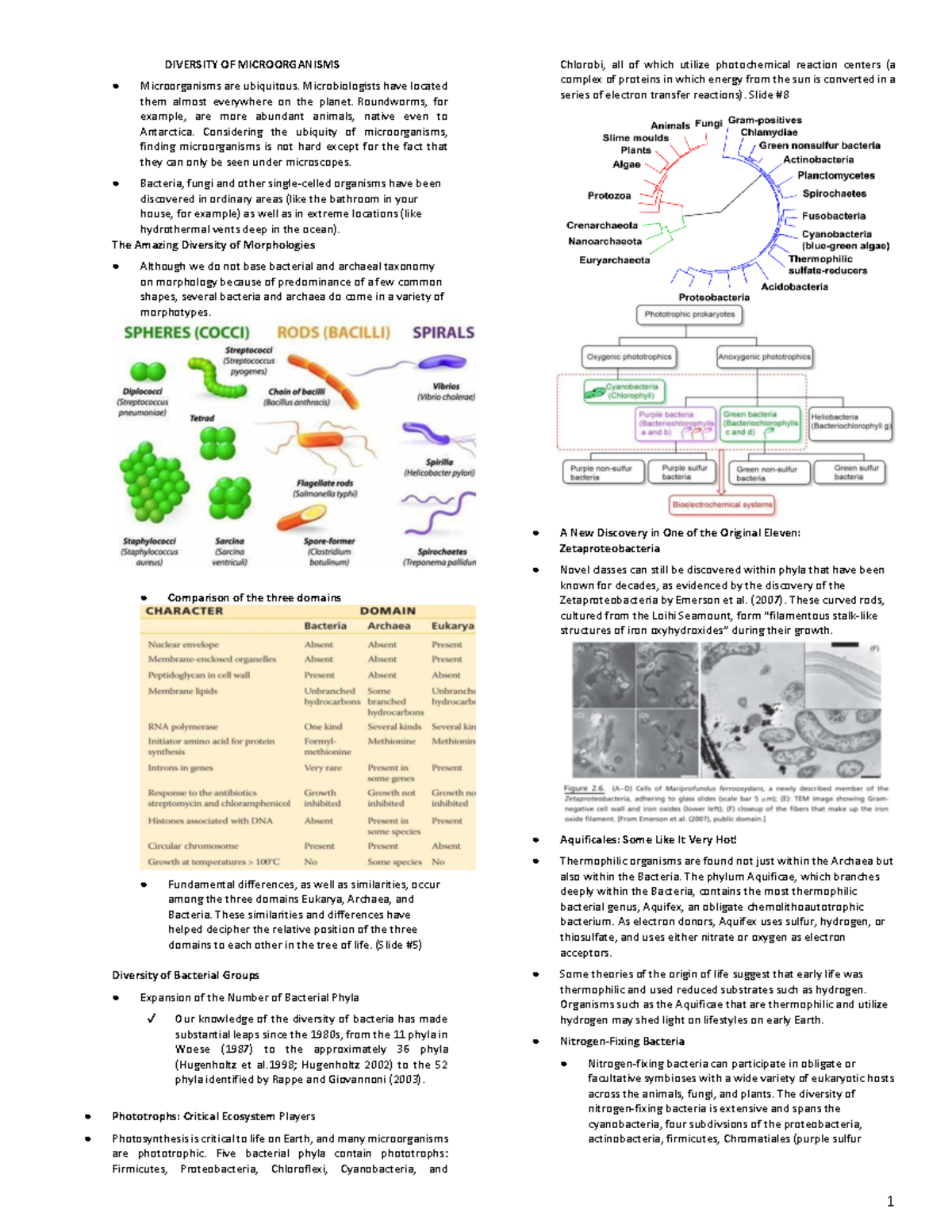 Diversity of Microorganisms Notes - DIVERSITY OF MICROORGANISMS ...