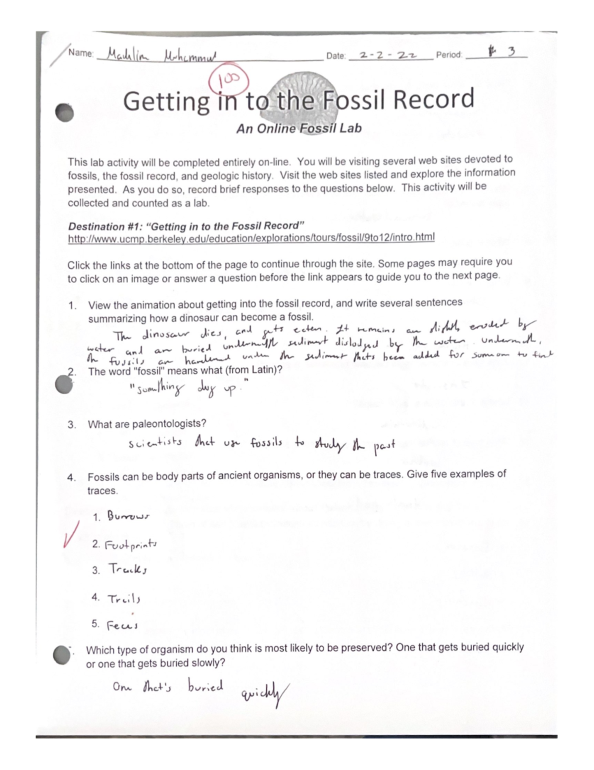 Getting in to the Fossil Record Assignment - Studocu