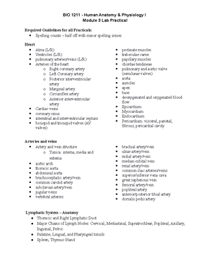 Practical 2 - Study guide - BIO 1211 - Human Anatomy & Physiology I ...