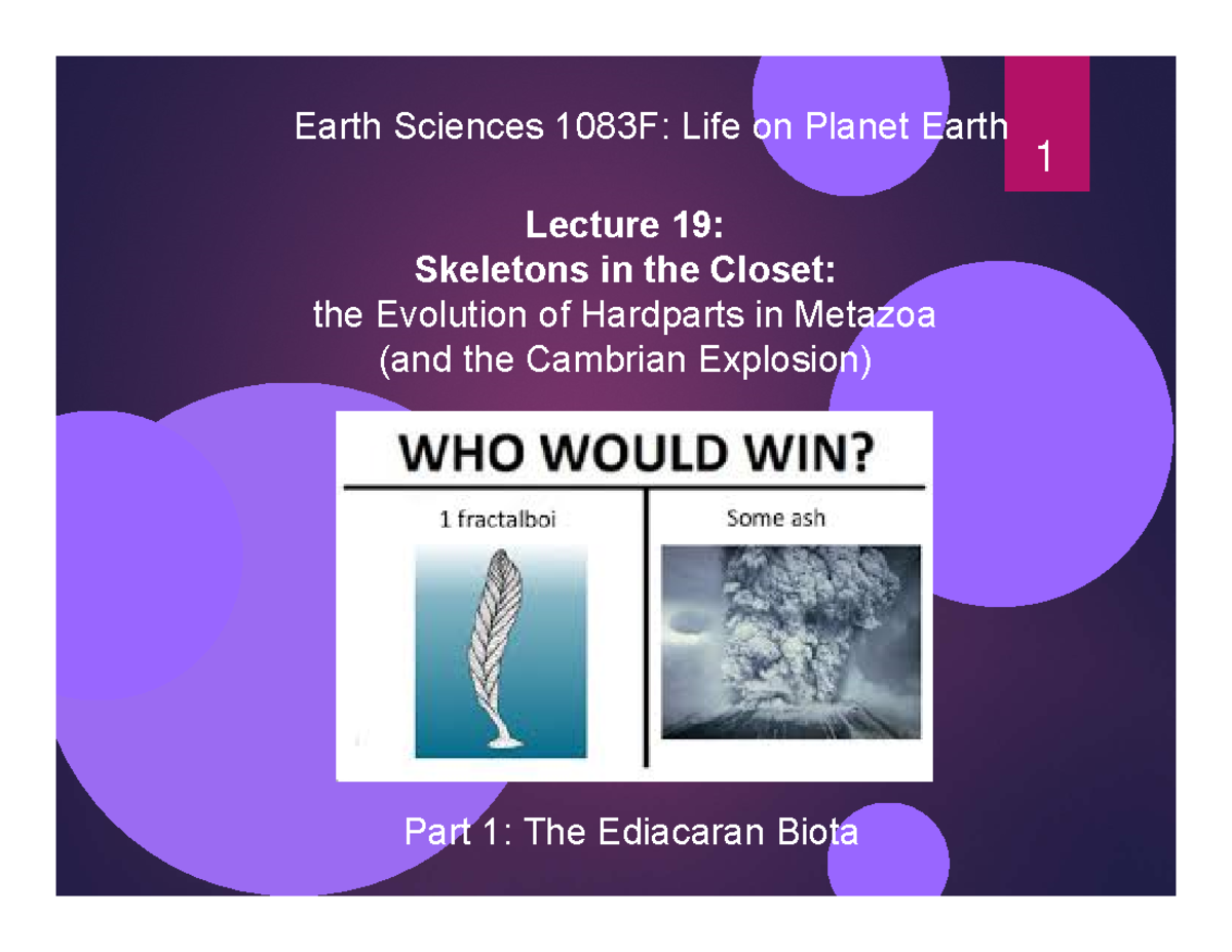 ES1083F Lecture 19 slidescombined - Lecture 19: Skeletons in the Closet: the Evolution of ...