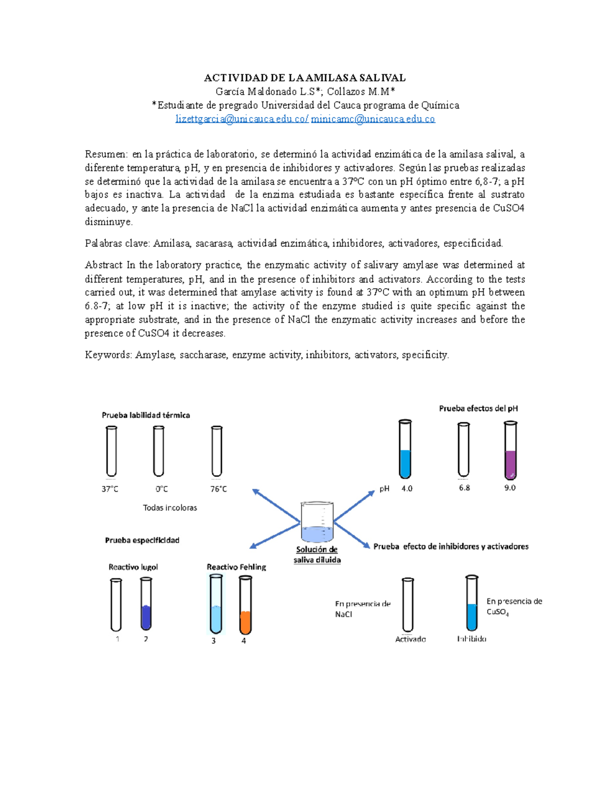 Actividad DE LA Amilasa Salival - ACTIVIDAD DE LA AMILASA SALIVAL ...