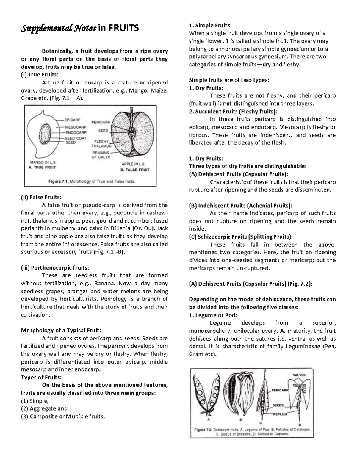 Supplemental Notes in Fruits - Supplemental Notes in FRUITS Botanically ...