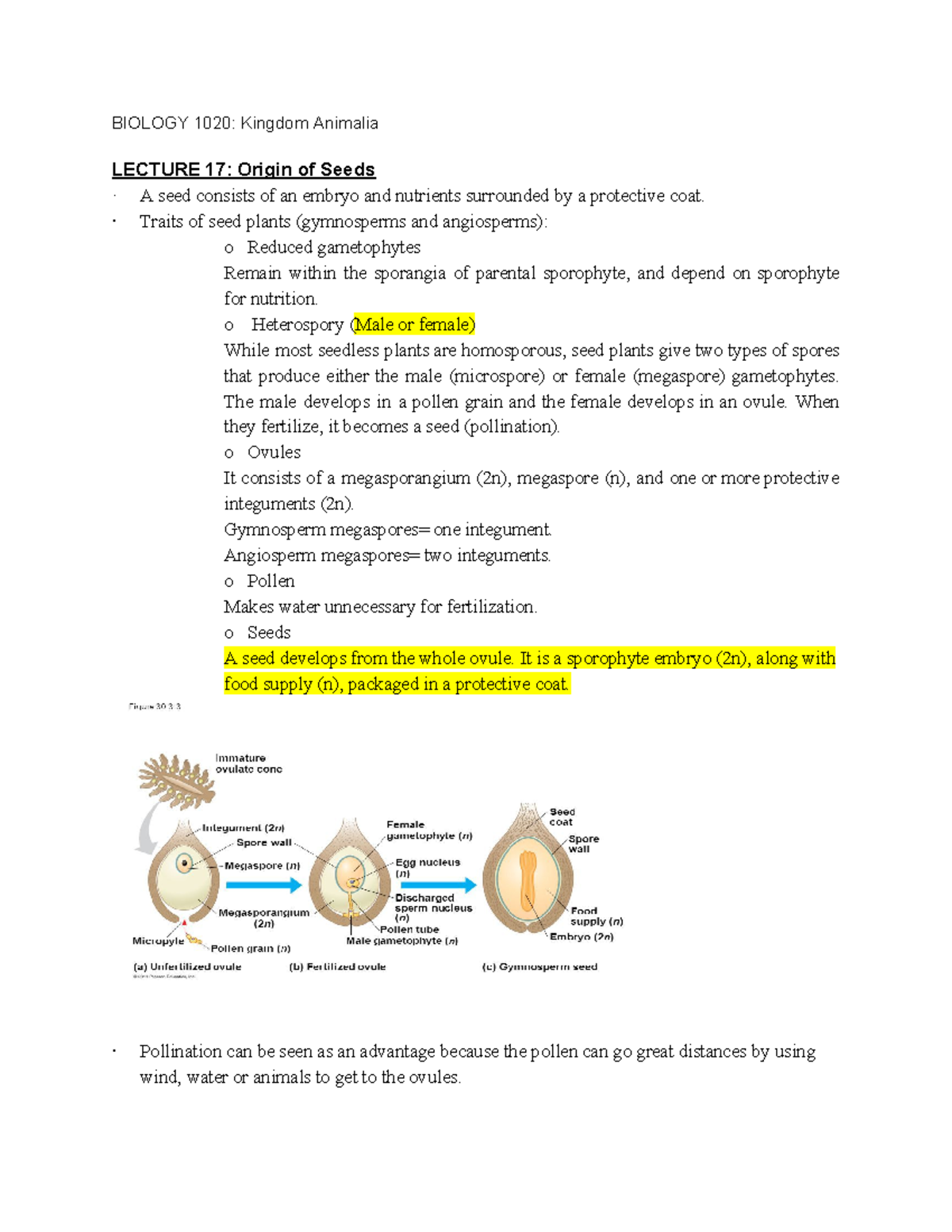 Biology 1020 Kingdom Animalia - BIOLOGY 1020: Kingdom Animalia LECTURE ...