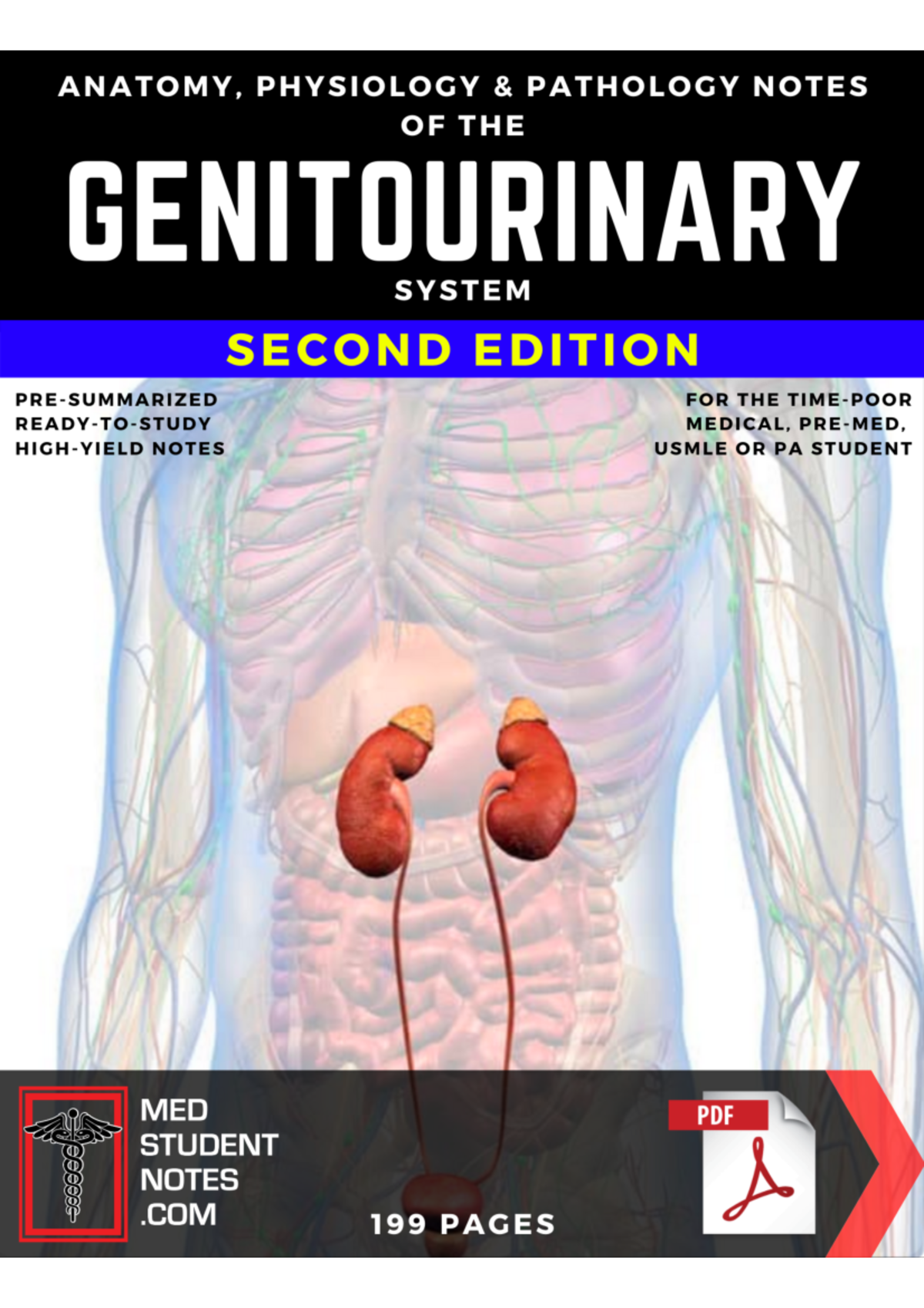 Sample - Genitourinary System Notes - A Welcome Letter From The Team At ...