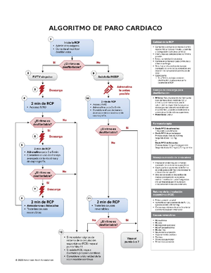 Trazos electrocardiográficos ACLS - ACLS Alteración Características ...