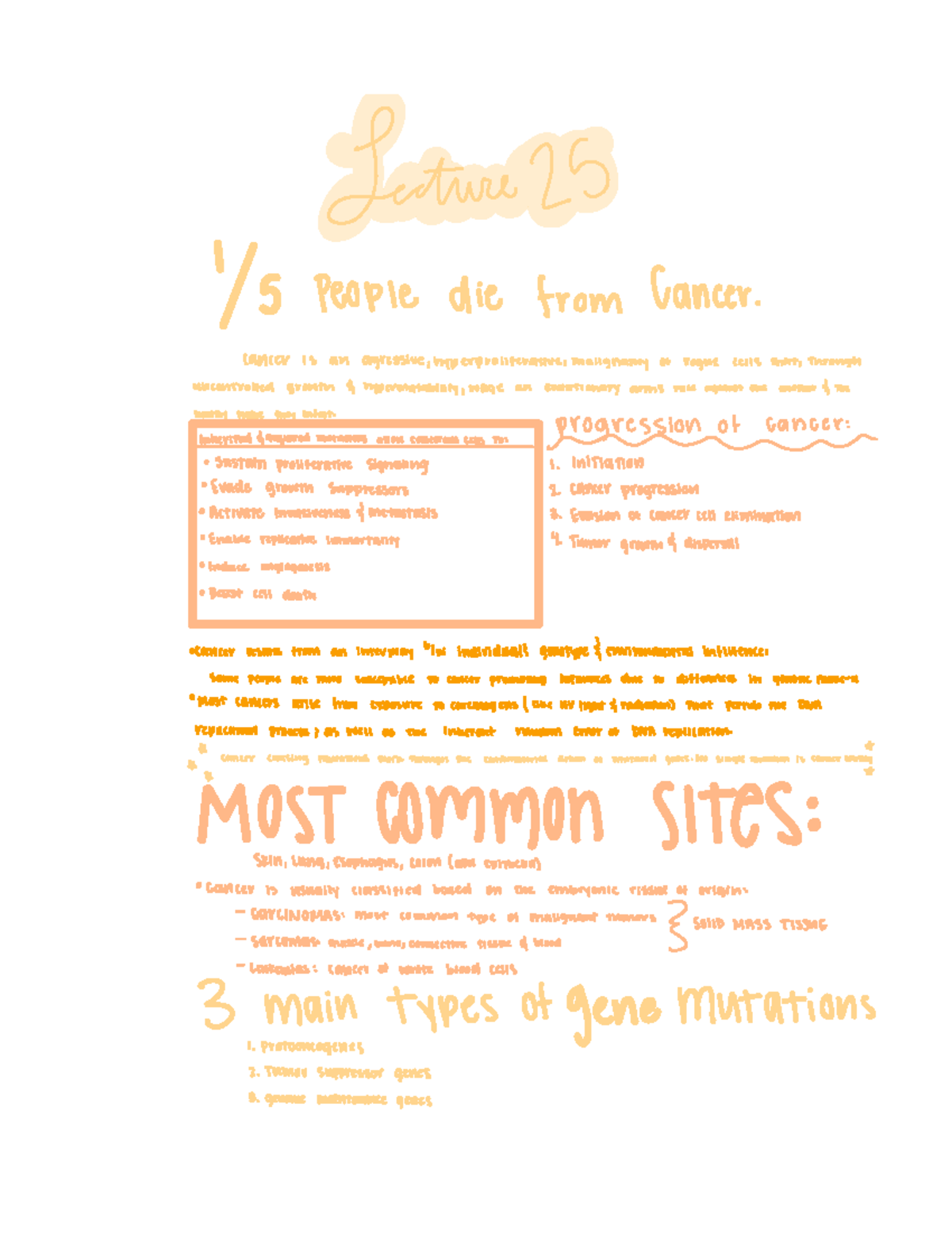 Lecture 25 Outline - Dr. Yoder - BSC 300 - Studocu