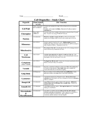 Human Anatomy Mock Exam Review Student Copy - Human Anatomy PASS Mock ...