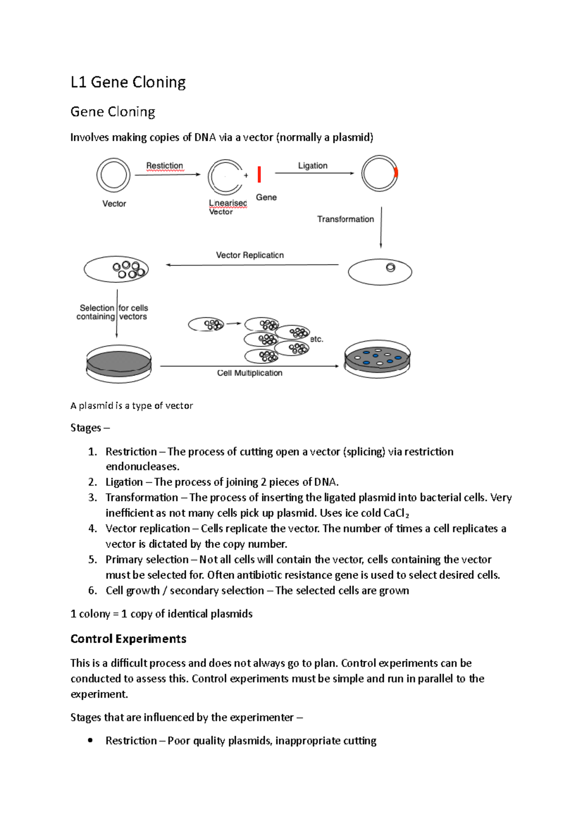 L1 Gene Cloning - L1 Gene Cloning Gene Cloning Involves making copies ...