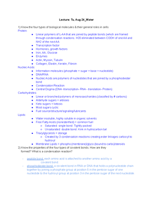 Exam 2 Form B KEY - EXAM 2 - NAME:_____________________________ NETWORK ...