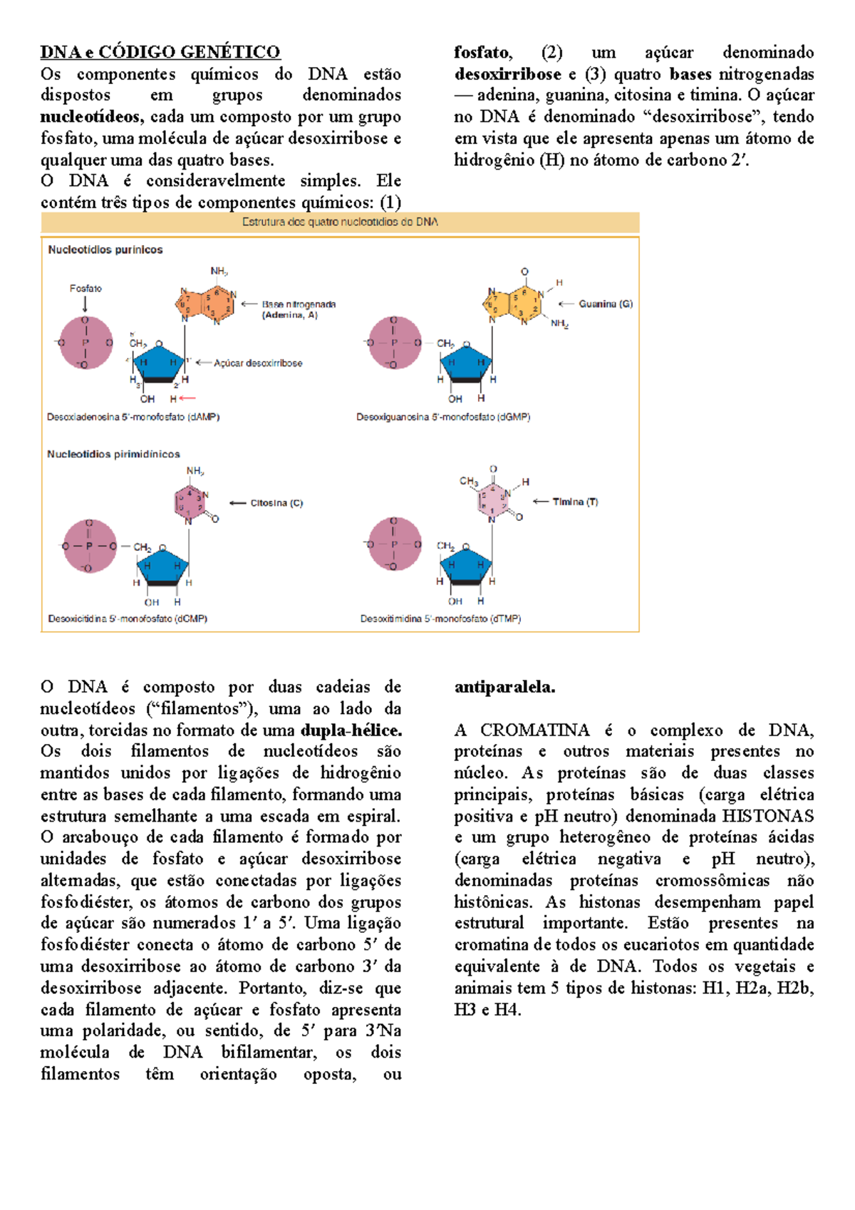 M1S1genoma - DNA e código genético - DNA e CÓDIGO GENÉTICO Os ...