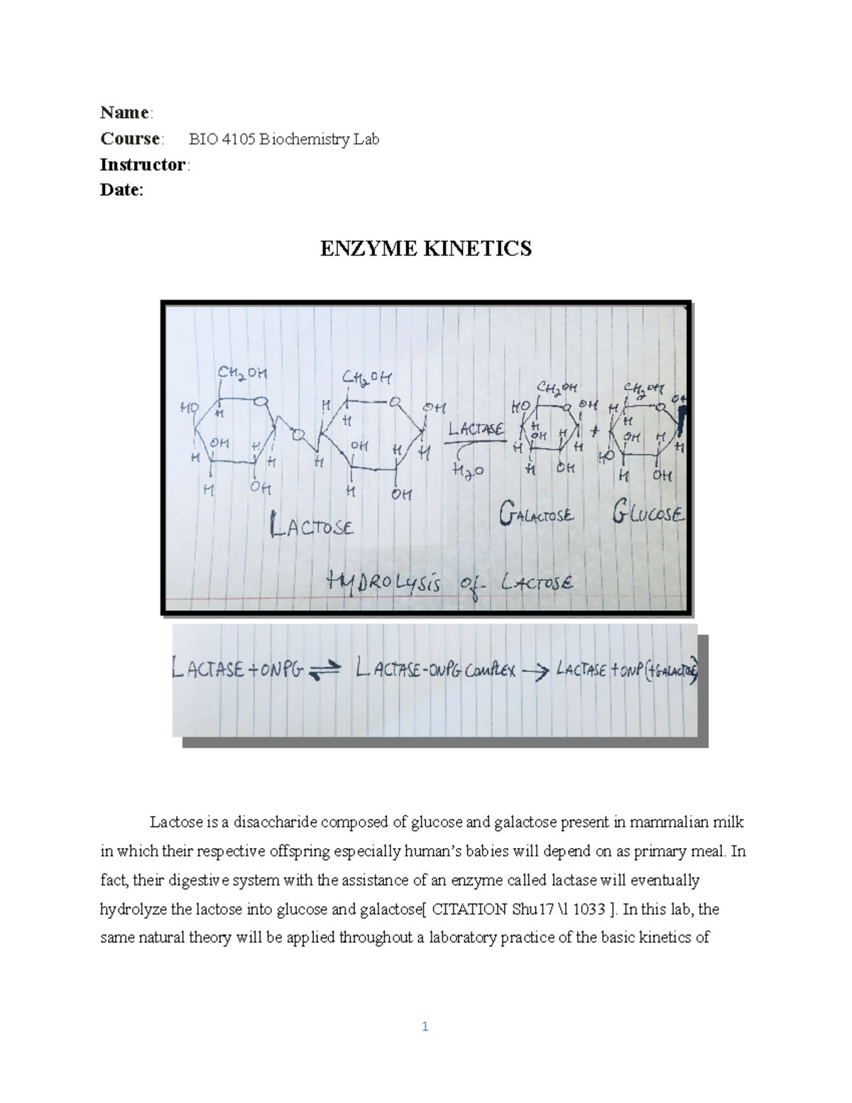 Enzyme Kinetics - Lab Reports - Name : Course : BIO 4105 Biochemistry ...