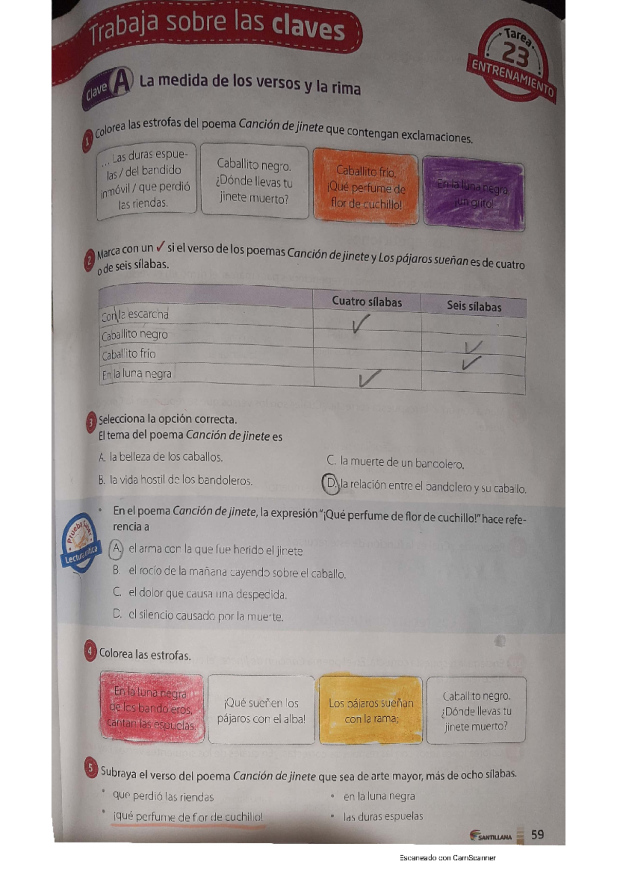 Actividad lectopolis poema isabella mejia 6b - Filosofia del Derecho - Studocu