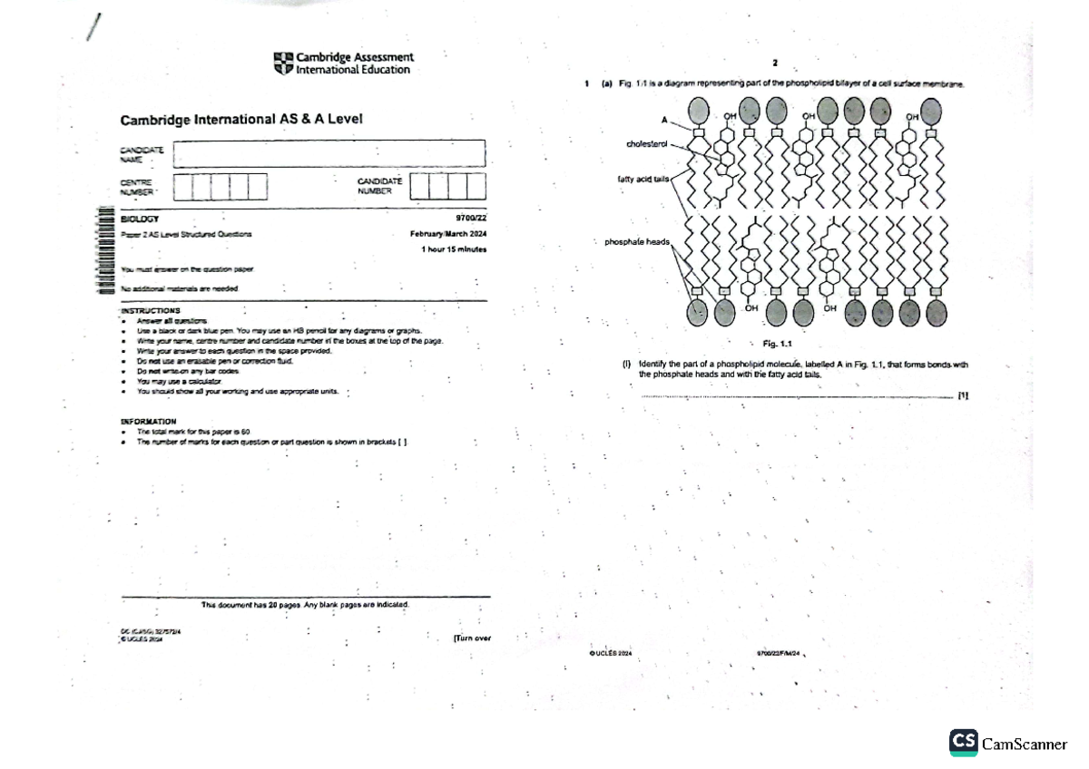 CIE Paper 2 2024 - 9700 - Studocu