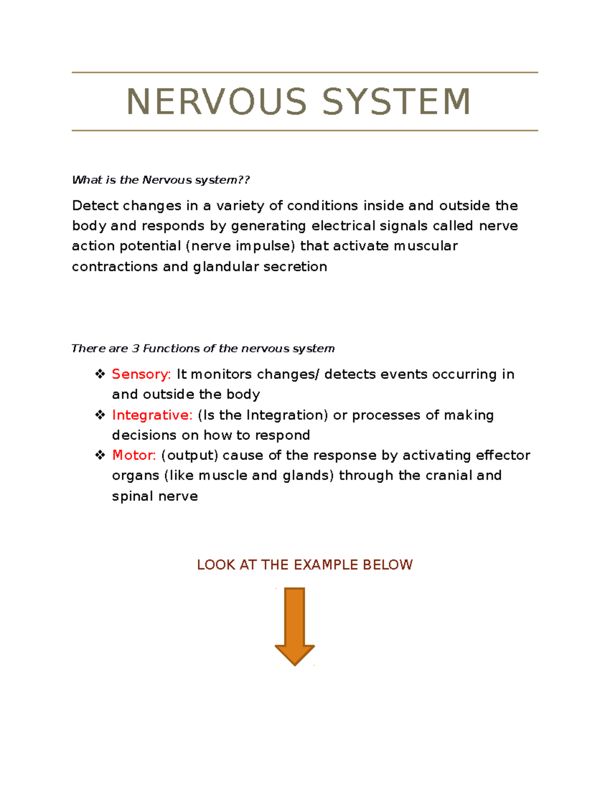 Nervous system Notes - I hope these helps - NERVOUS SYSTEM What is the ...