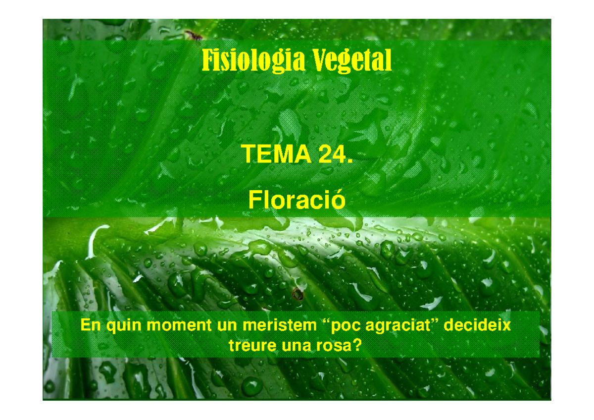 Apuntes fisiología vegetal Tema 1 al 30. - Fisiología Vegetal - UIB ...