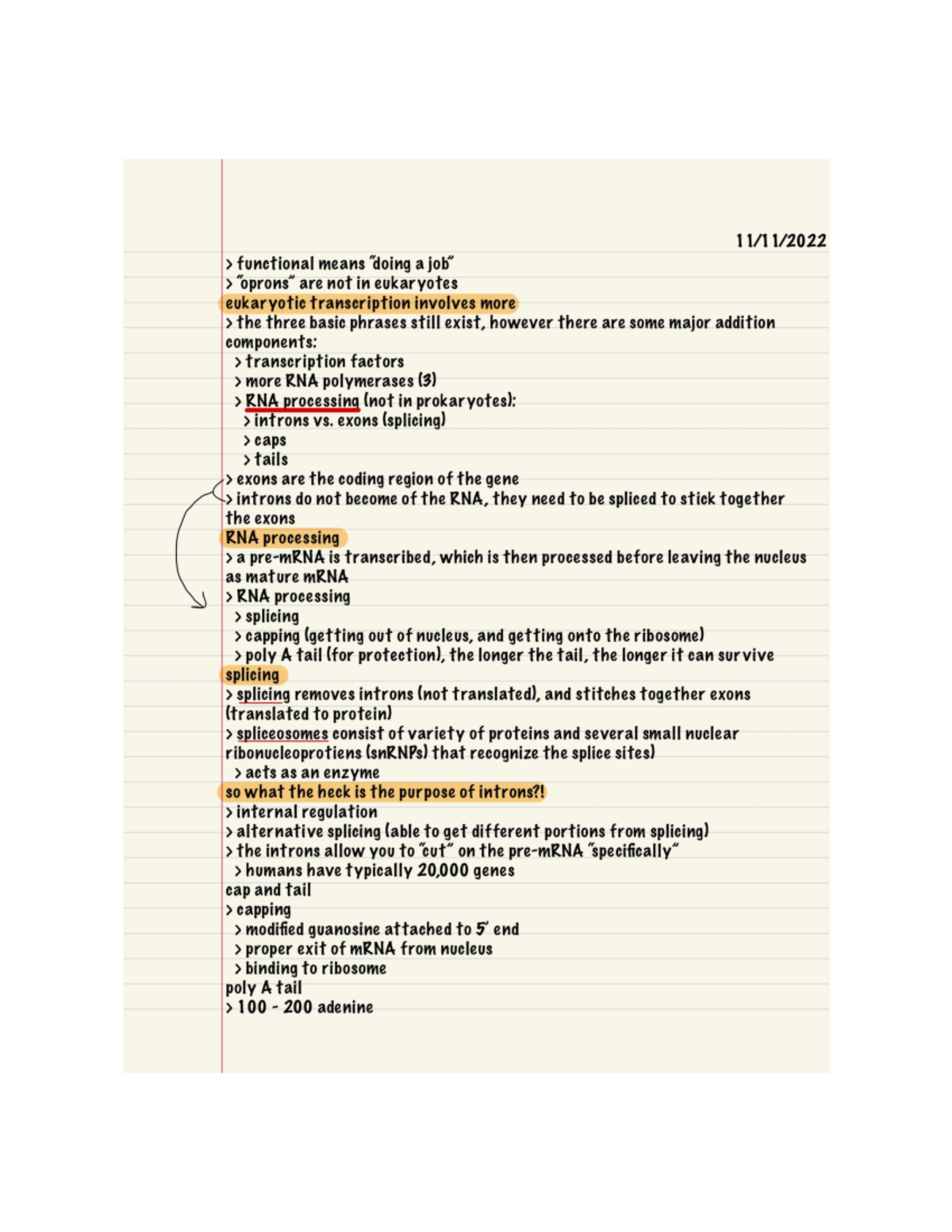 BIO 110 Notes (1) 11:15:2022 - BIO 110 - Studocu