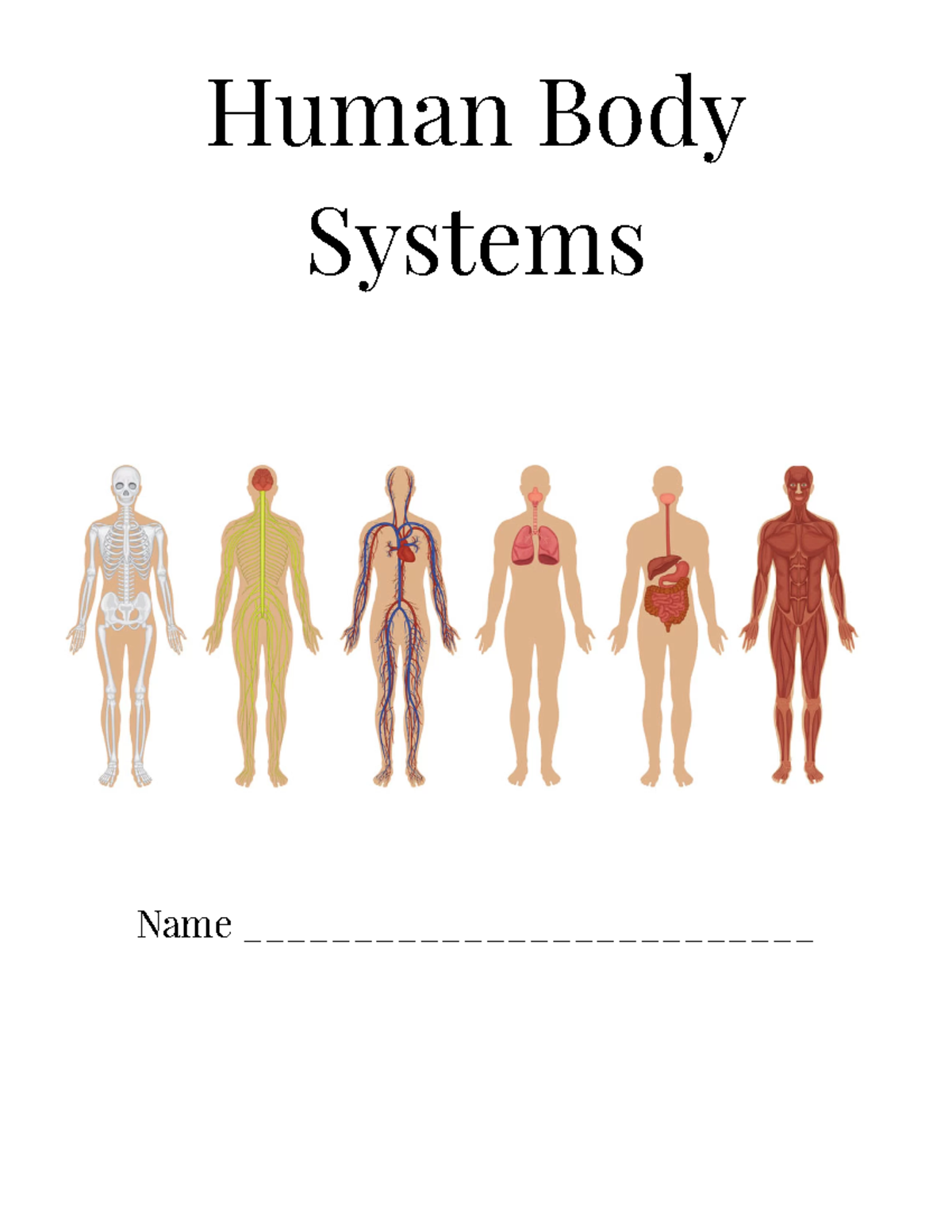 Human Body Systems-human body systems-body systems book - 6 - Human ...