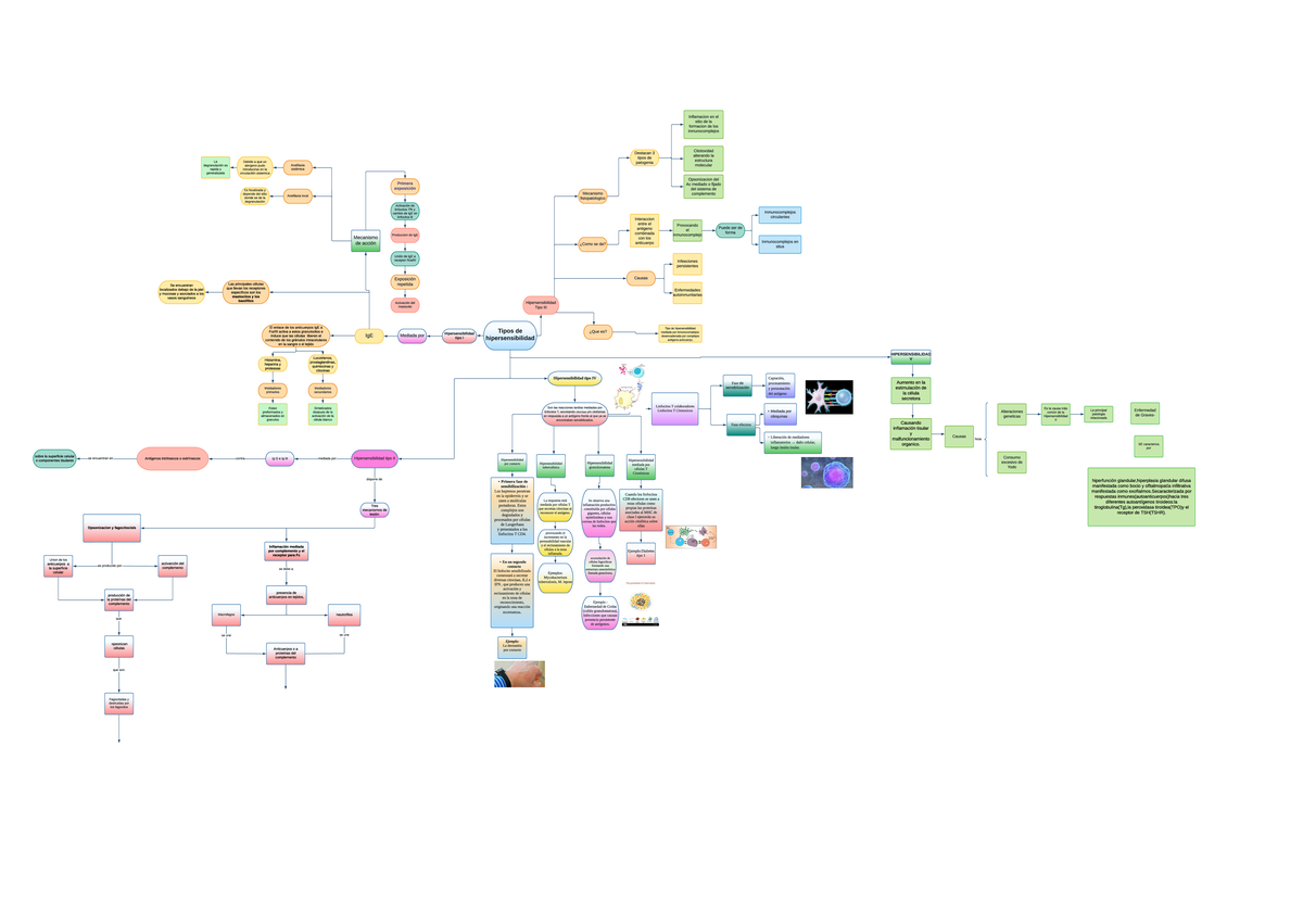 Tipos de hipersensibilidad Mapa Equipo 1 - Tipos de hipersensibilidad Hipersensibilidad Tipo III ...