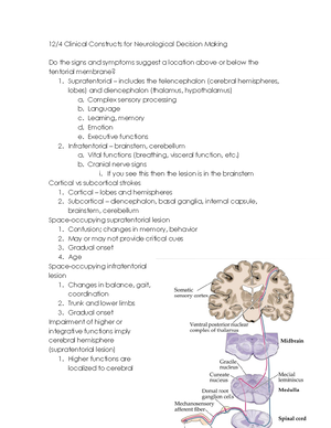 Human nervous system lecture notes - 8/26 Overview of the Human Nervous ...