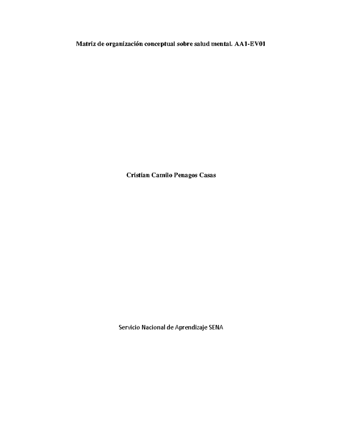 Matriz de organización conceptual sobre salud mental 1 - Comercio ...