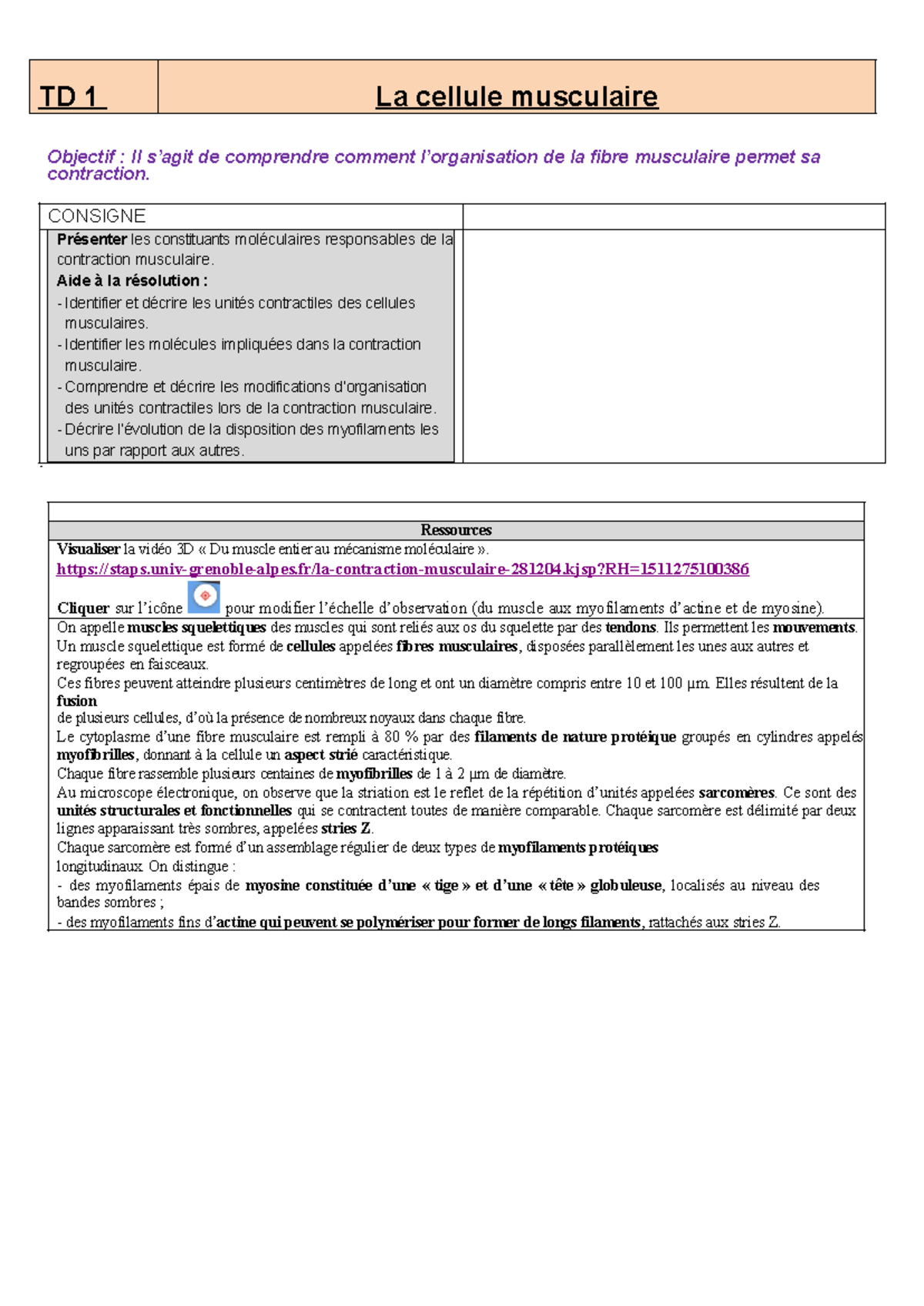 Td 1 la cellule musculaire - Objectif : Il s’agit de comprendre comment ...