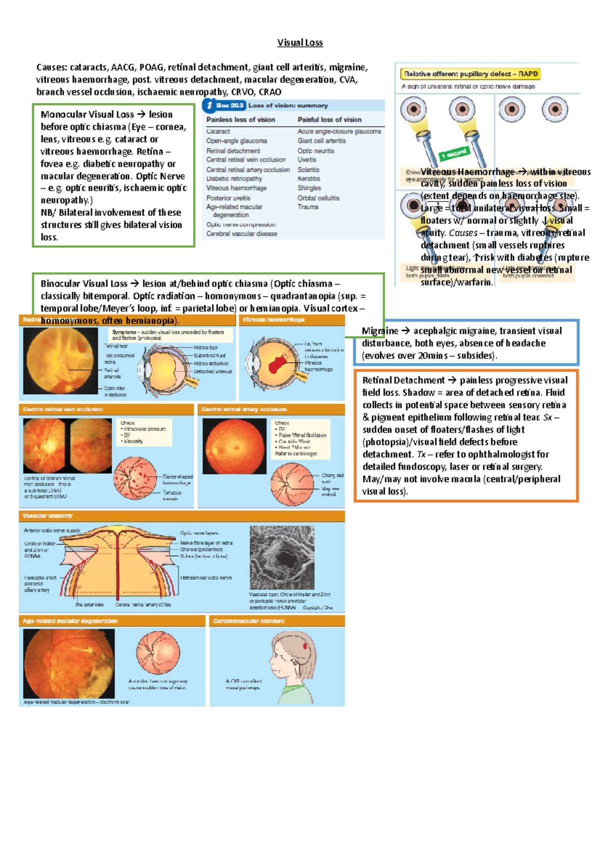 Visual Loss - Core clinical cases presentations - vision loss - Visual ...