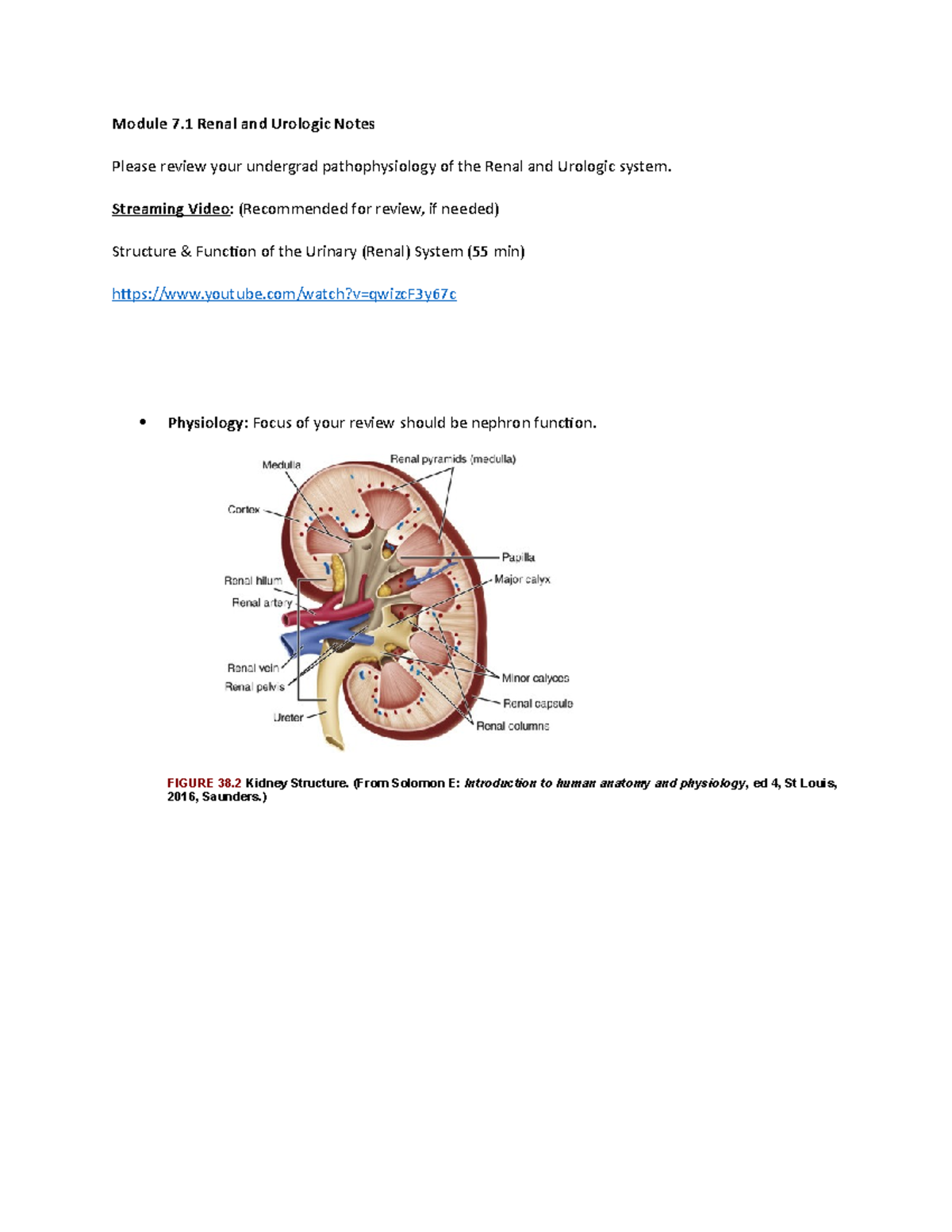 Module 7.1 Content Notes Renal Urologic 2021 - Module 7 Renal and ...