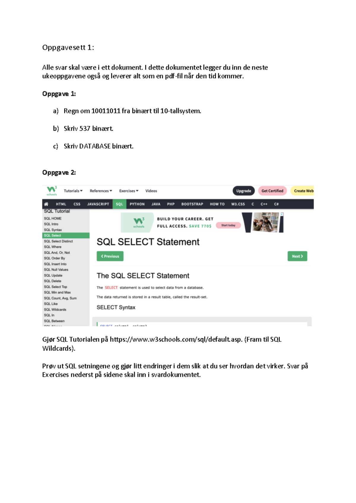 Oppgavesett 1 - I dette dokumentet legger du inn de neste ukeoppgavene også og leverer alt som ...