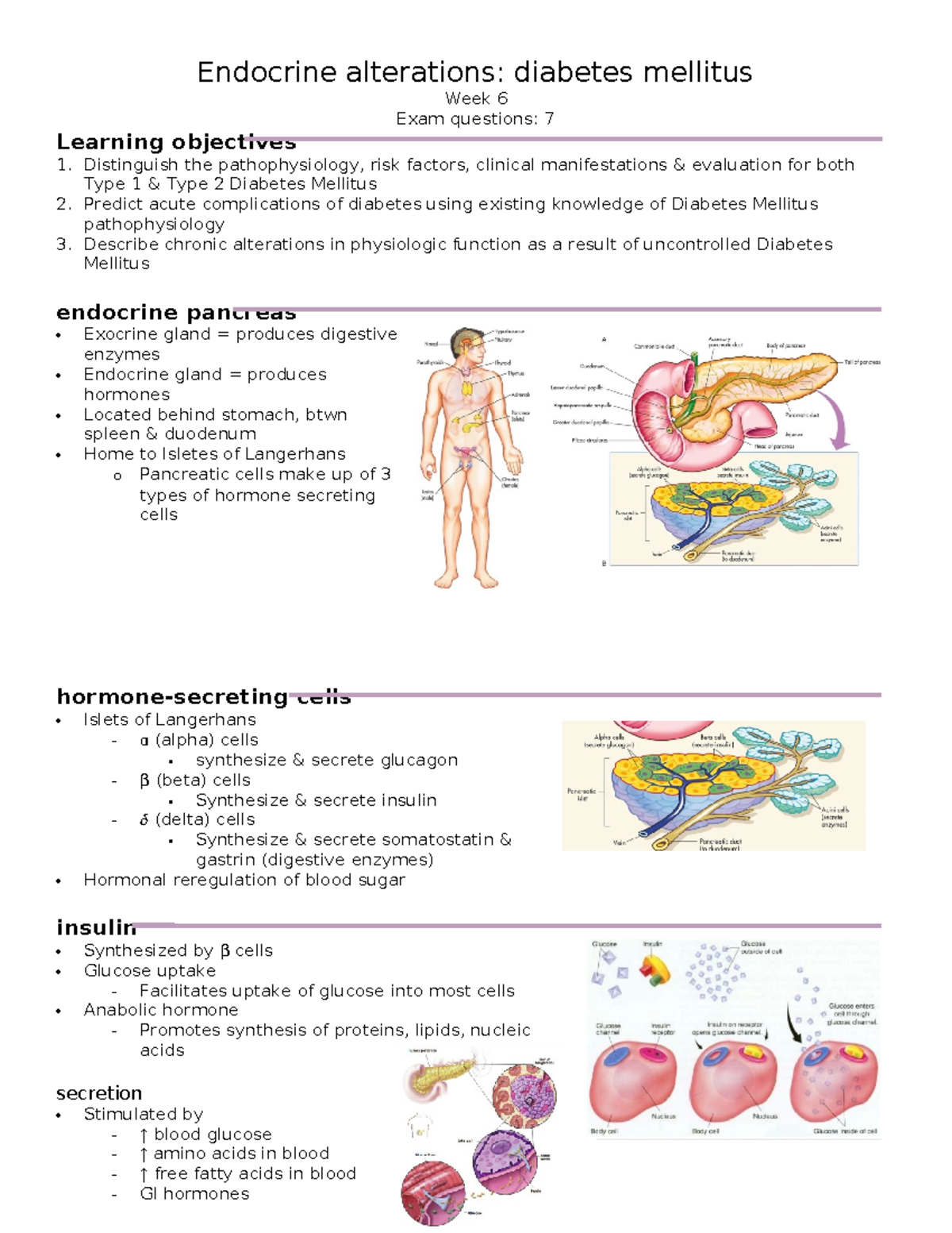 Diabetes - Endocrine alterations: diabetes mellitus Week 6 Exam ...