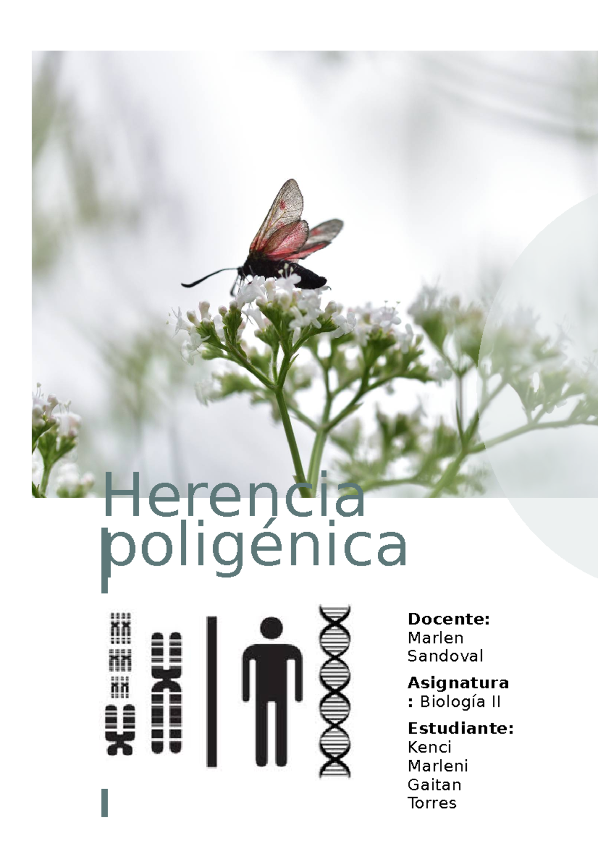 Herencia poligénica - kmcihfjsnvjfkjmksdjifd - Herencia poligénica ...