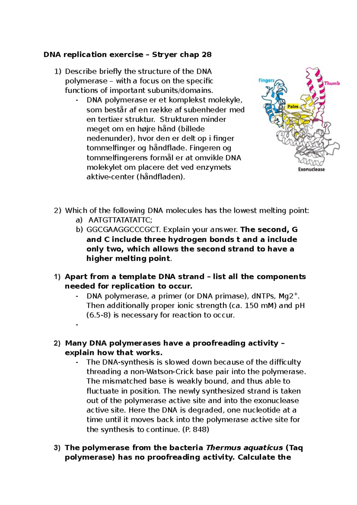 Opgaver biokemi - DNA replication exercise – Stryer chap 28 Describe ...