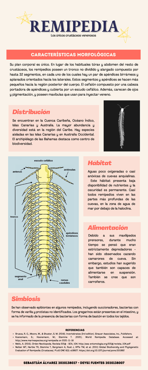 Valiente Kathleyn Tardigrada - SANTANDER Reserva el Diviso, Bucaramanga (2001) -Echiniscidae ...