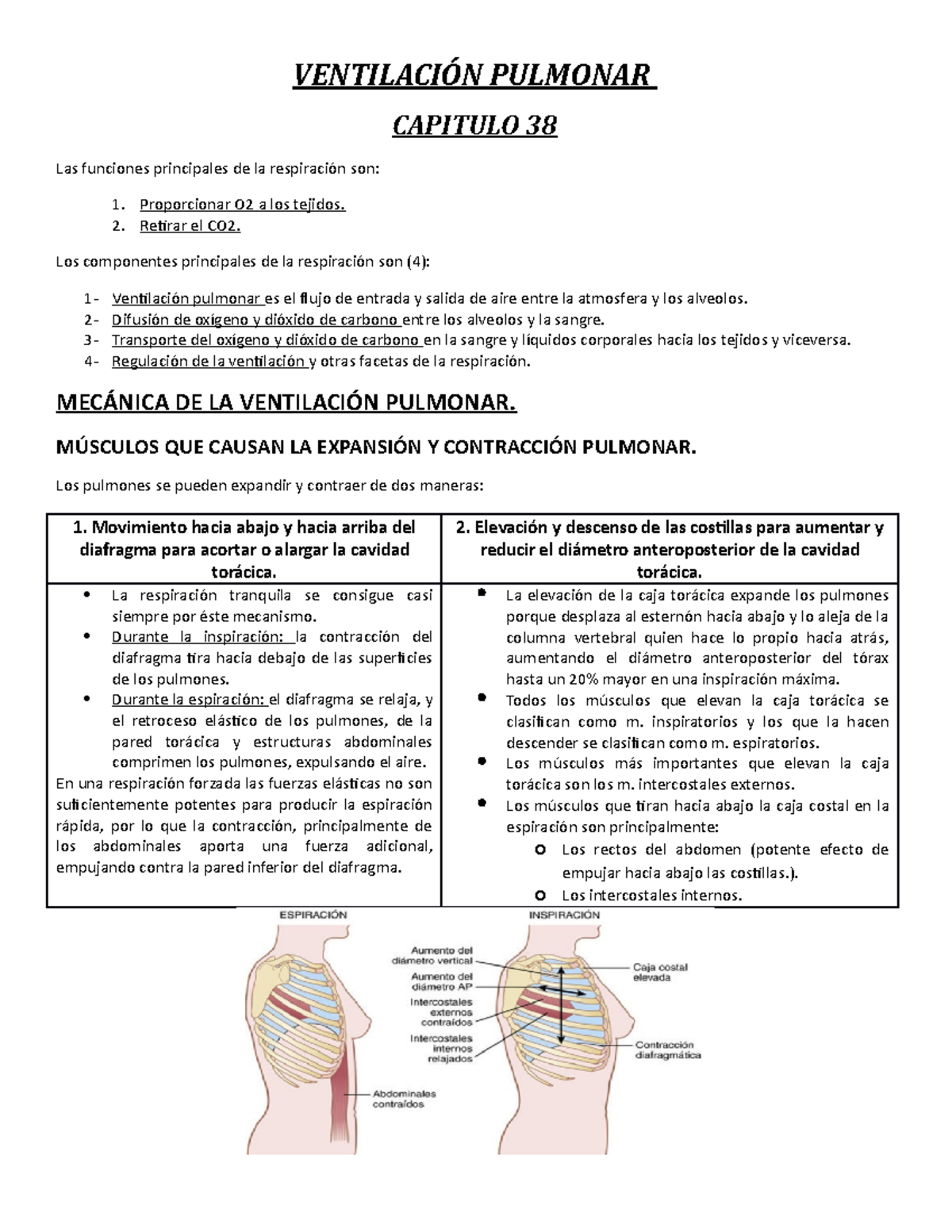 Ventilación Pulmonar - VENTILACIÓN PULMONAR CAPITULO 38 Las funciones principales de la ...
