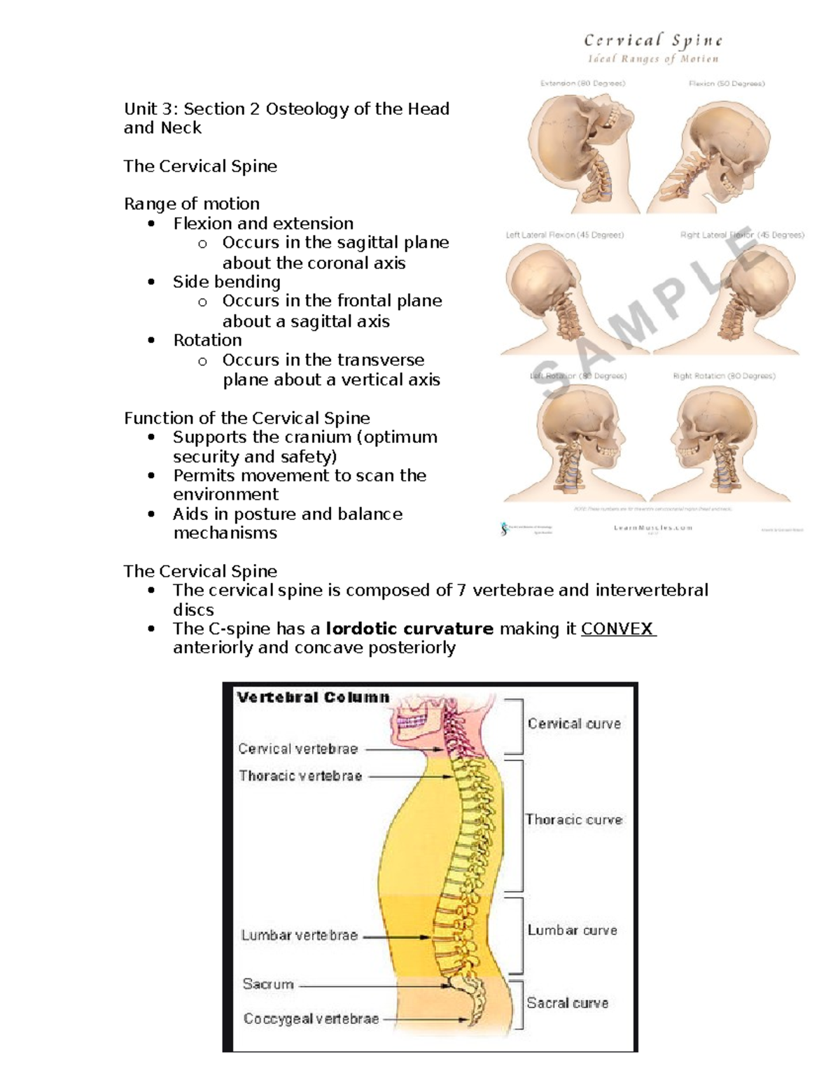 Spine Flexion Degrees