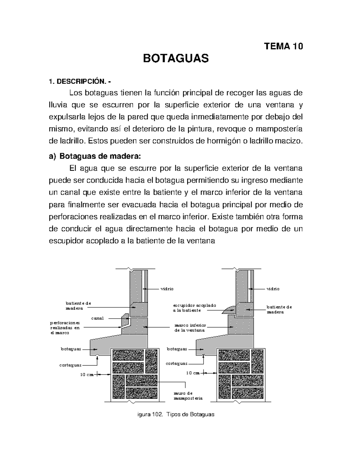 TEMA 10 Botaguas - TEMA 10 BOTAGUAS DESCRIPCIÓN. - Los botaguas tienen ...