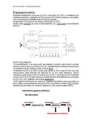 Anatomia do sistema genital masculino - FUNÍCULO ESPERMÁTICO À medida ...
