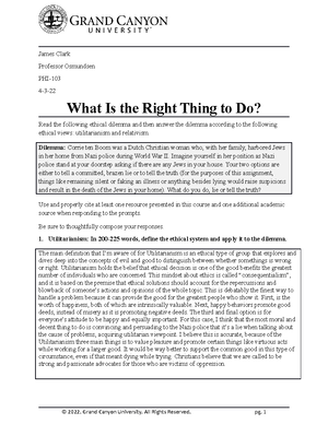 Victim theories - The victim precipitation hypothesis, deviant place ...