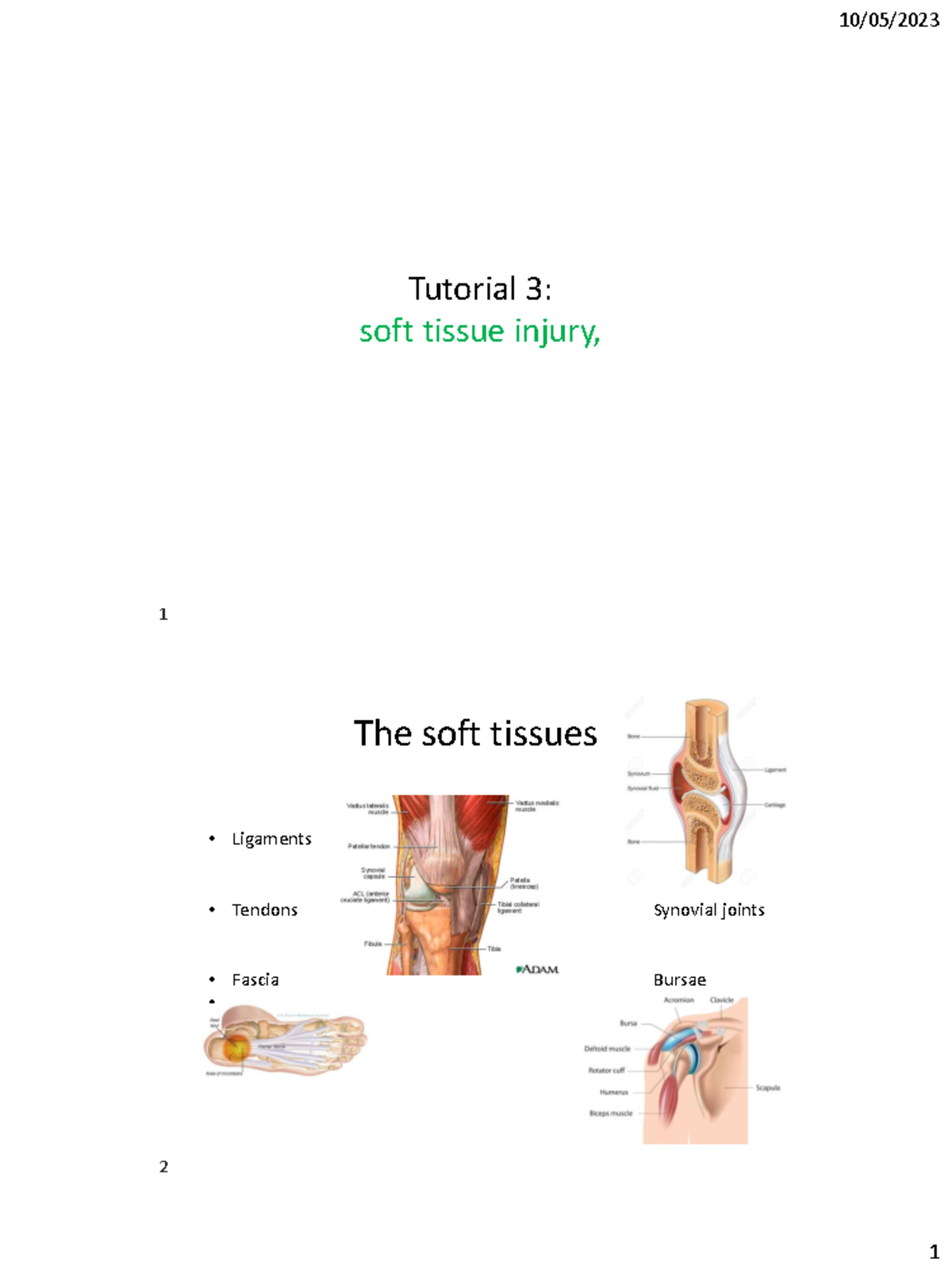 NS2881 - Week 9 - Tutorial 3 presentation - Tutorial 3: soft tissue ...