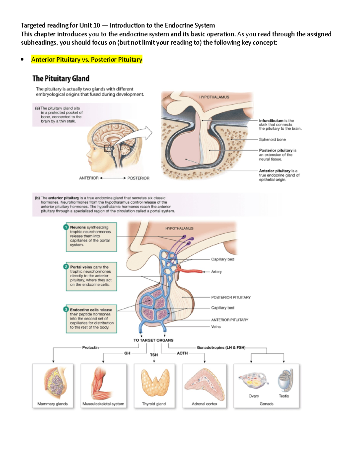 Unit 10 Chapter 7 - Targeted reading for Unit 10 — Introducion to the ...