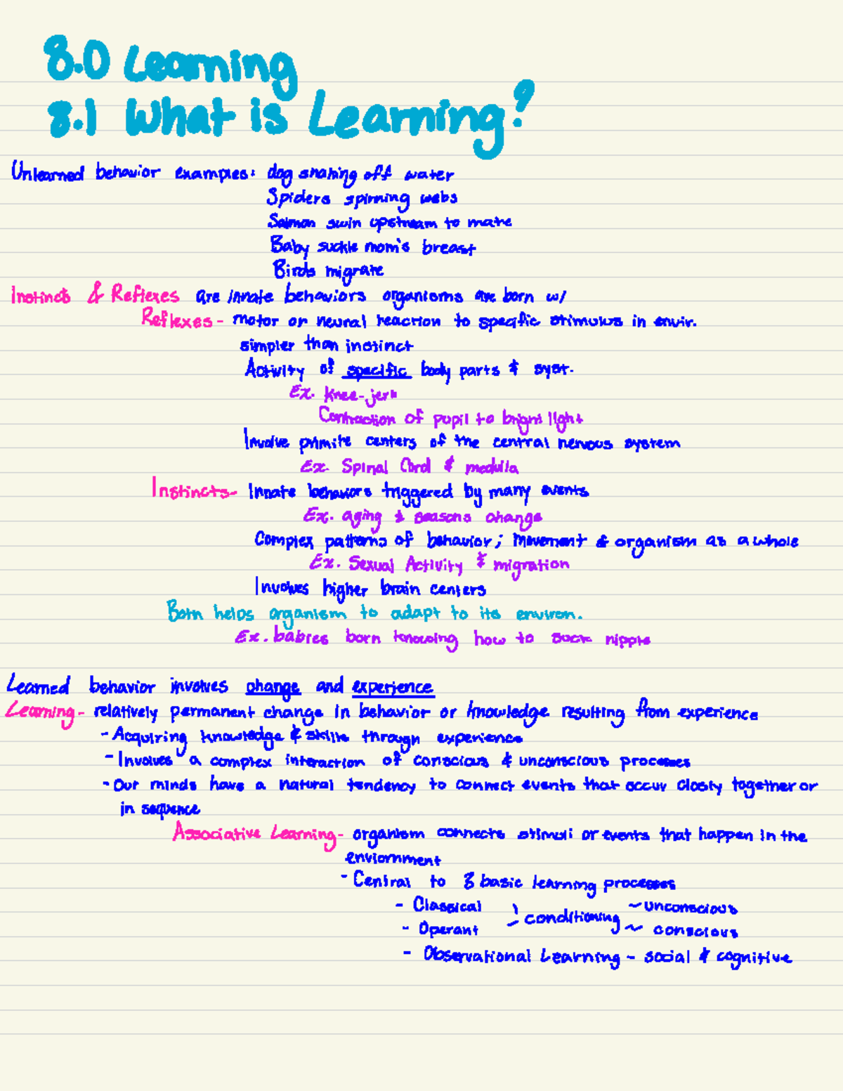 What is Learning - 8. Learning ####### 8. ####### What is Learning ...