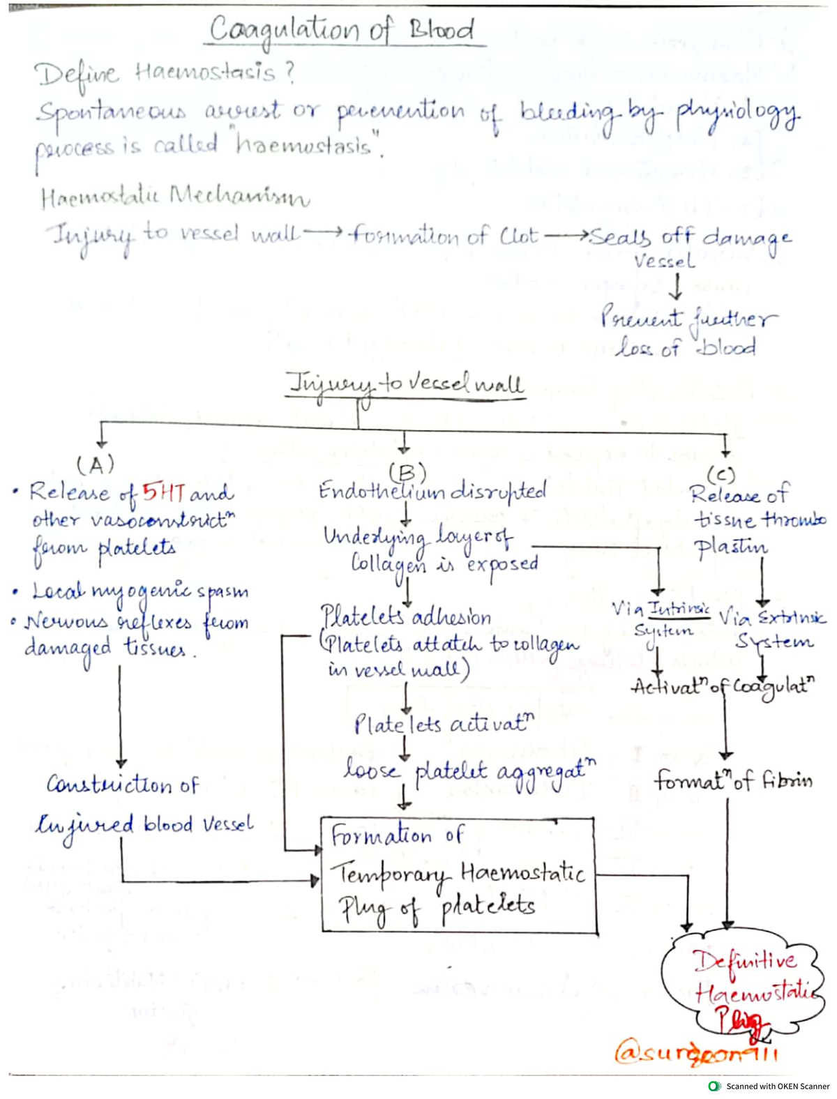 Coagulation of blood - tete - Coagulation of Blood Define Haemostasis ...
